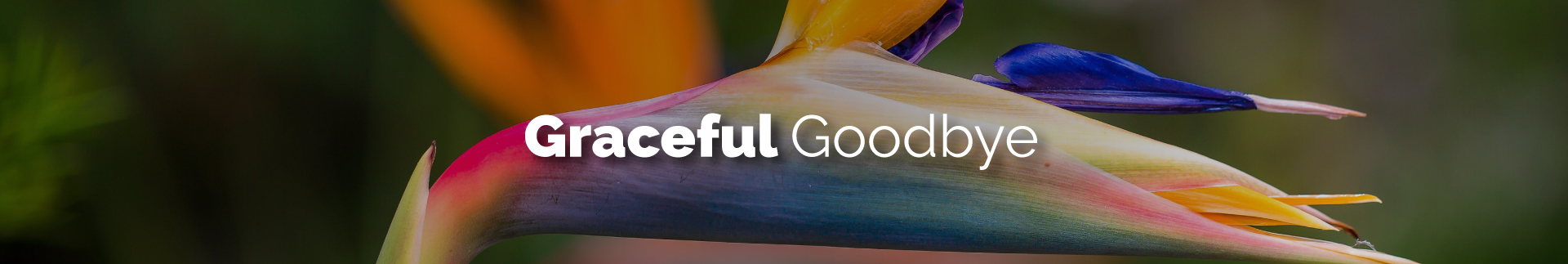 Graceful Goodbye - Belgroves Funeral Home